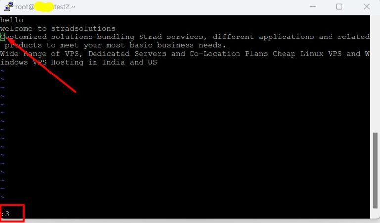 How to get a particular line or word in a file in Linux through vi ...
